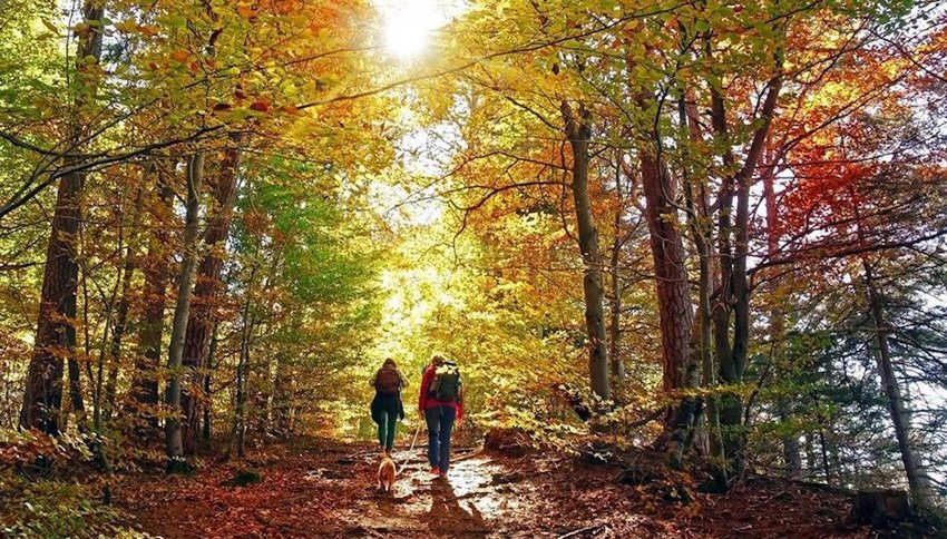 10 Ways to Get Outside This Month | The Discoverer